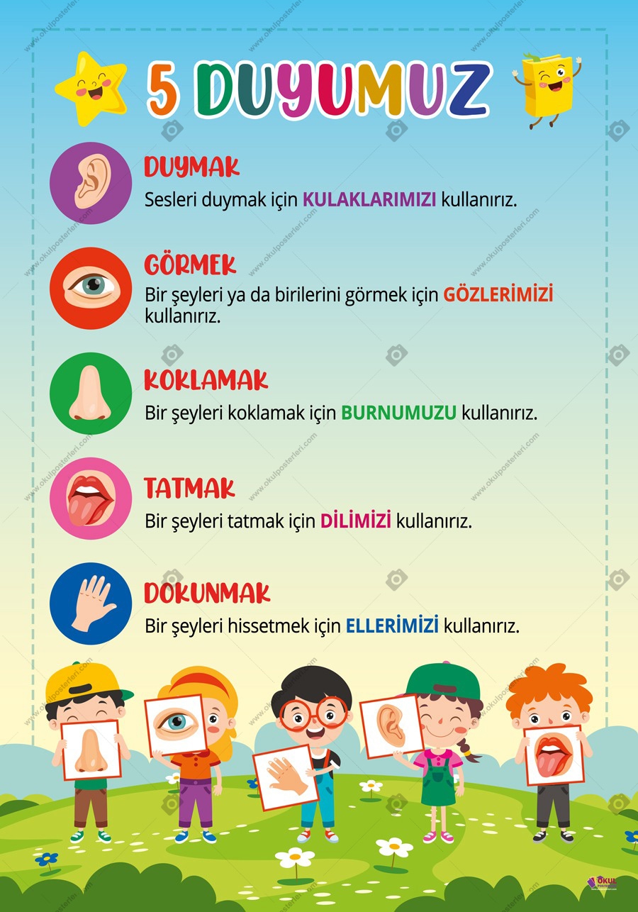 5 Duyumuz Okul Posteri | okulposterleri.com