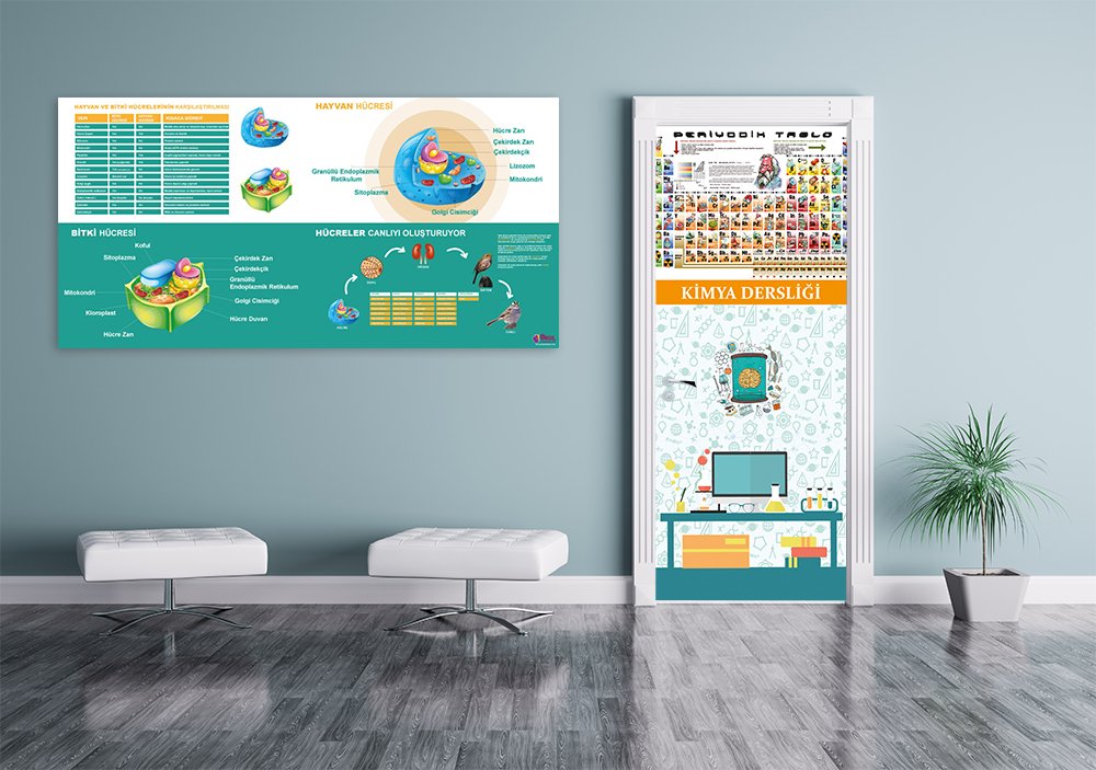 Bitki ve Hayvan Hücresi | okulposterleri.com